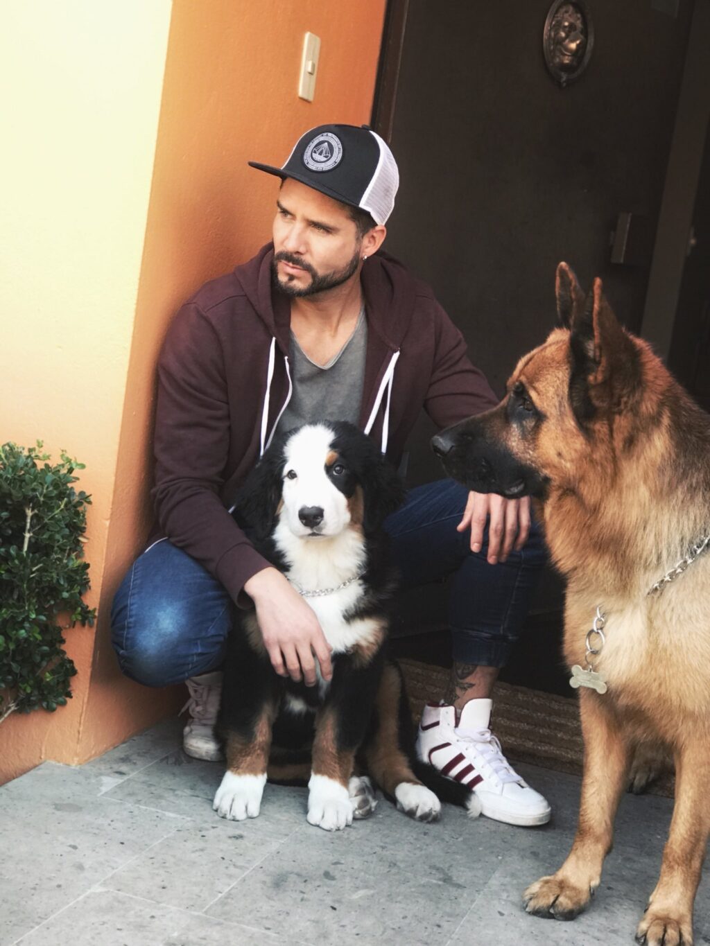 José Ron atraviesa un duro momento tras la pérdida de su fiel compañera ...