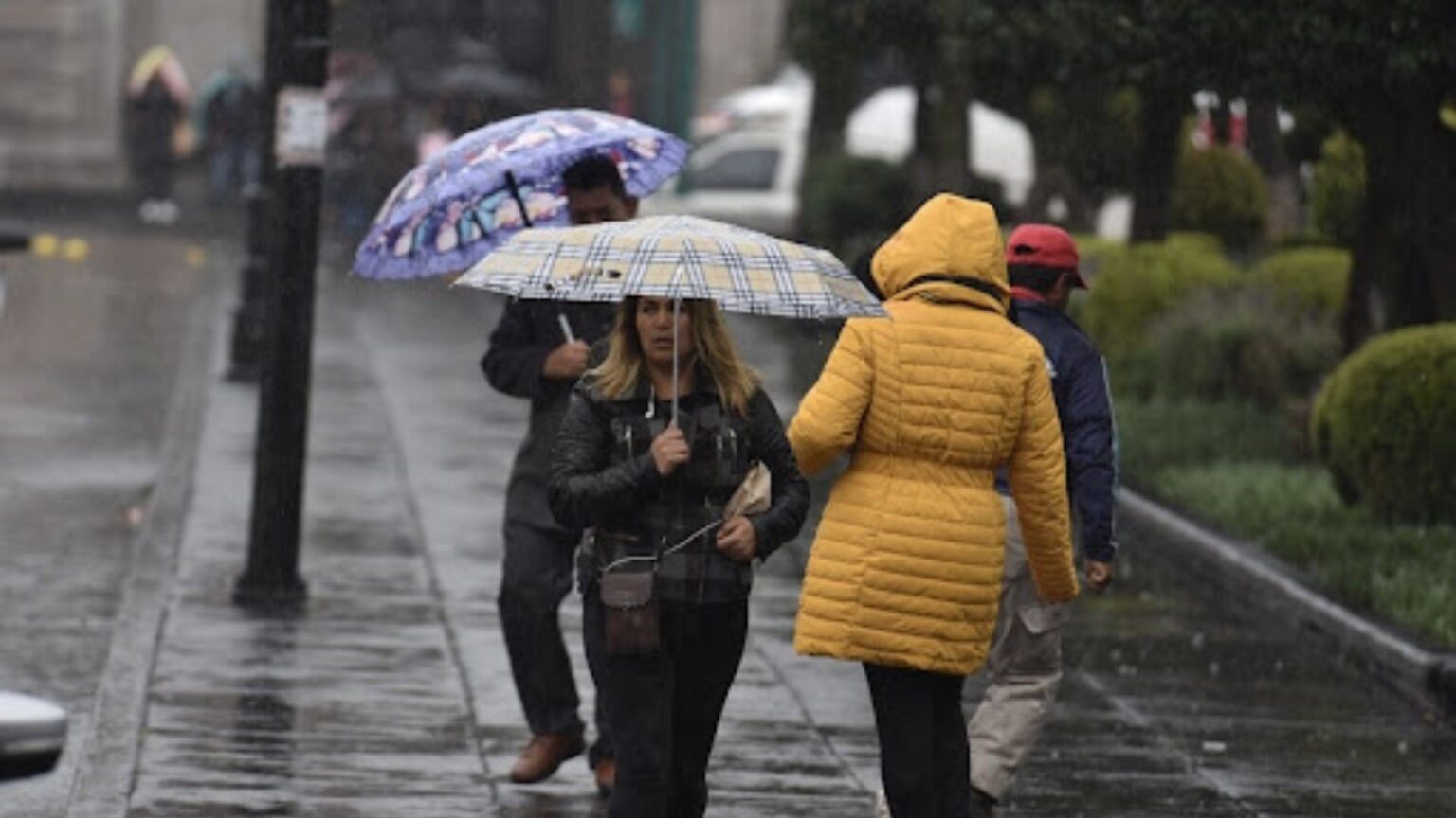 Invierno 2025 en México: esta es la fecha exacta en que inicia la ...