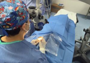 Gobierno de Celaya exigirá a Javier Mendoza entrega de vehículos y ...