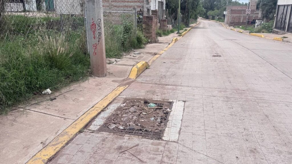 Guanajuato: afectan lodo, inundaciones y humo de crematorio a ...